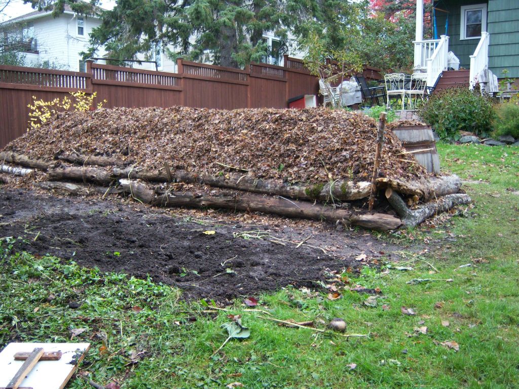 Rot and Renewal, or “The Happy Hugeler!” – Ed's Big Adventure